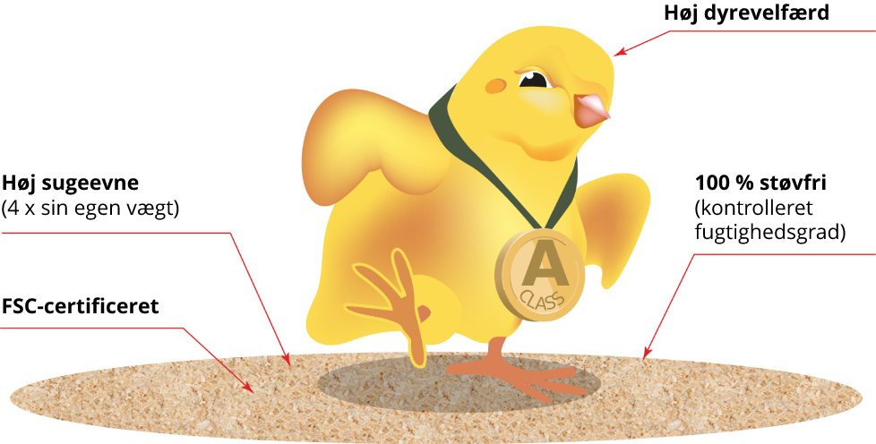 Blå Spanvall | Spanvall