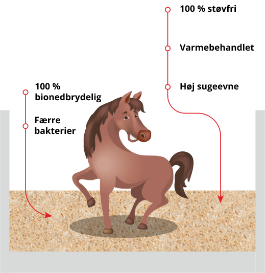 XL Wood Shavings | Spanvall