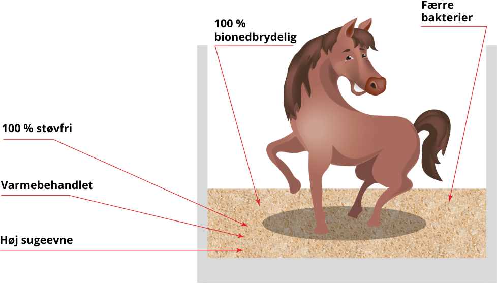 XL Wood Shavings | Spanvall
